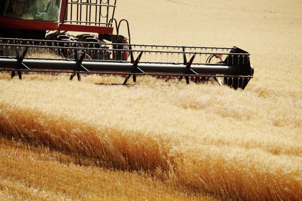 Grain Production : Pivot and Grow