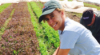 The New Farm : Pivot and Grow