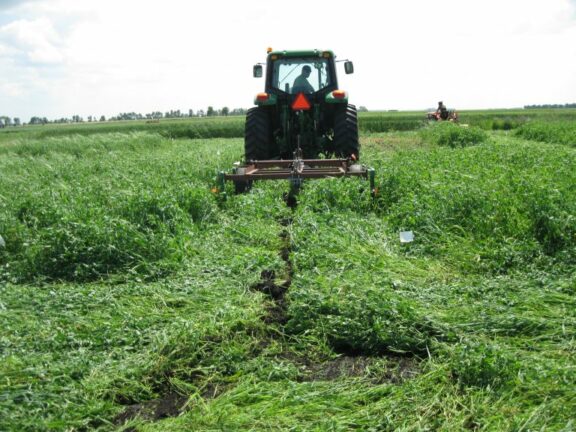 Module 3: Managing Green Manures : Pivot and Grow