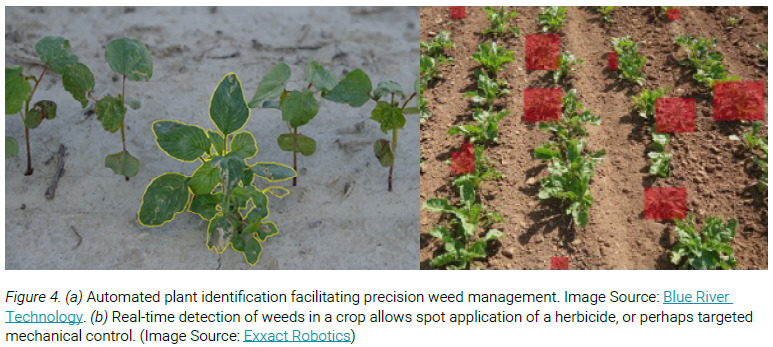 Precision Management and Technologies for Organic Field Crop Production ...