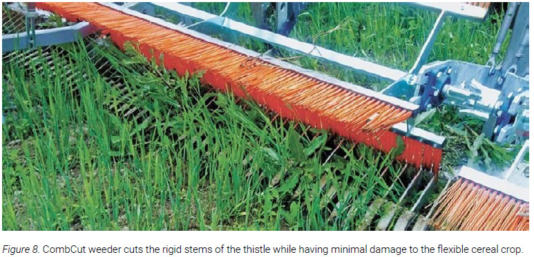 Precision Management and Technologies for Organic Field Crop Production ...